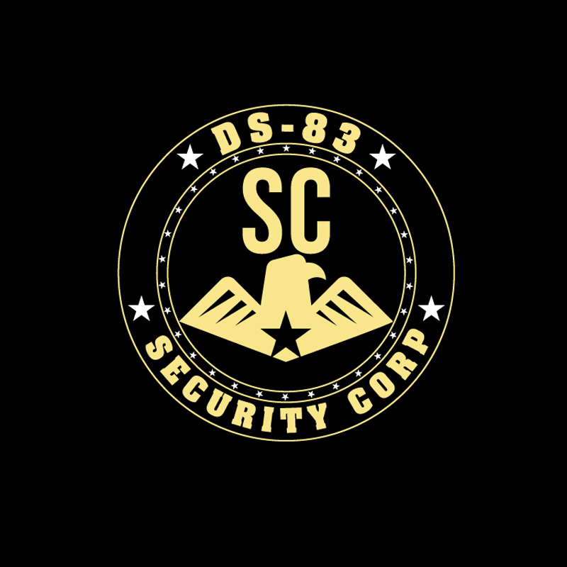 Security Logo Design Service Security Company Logo Ideas